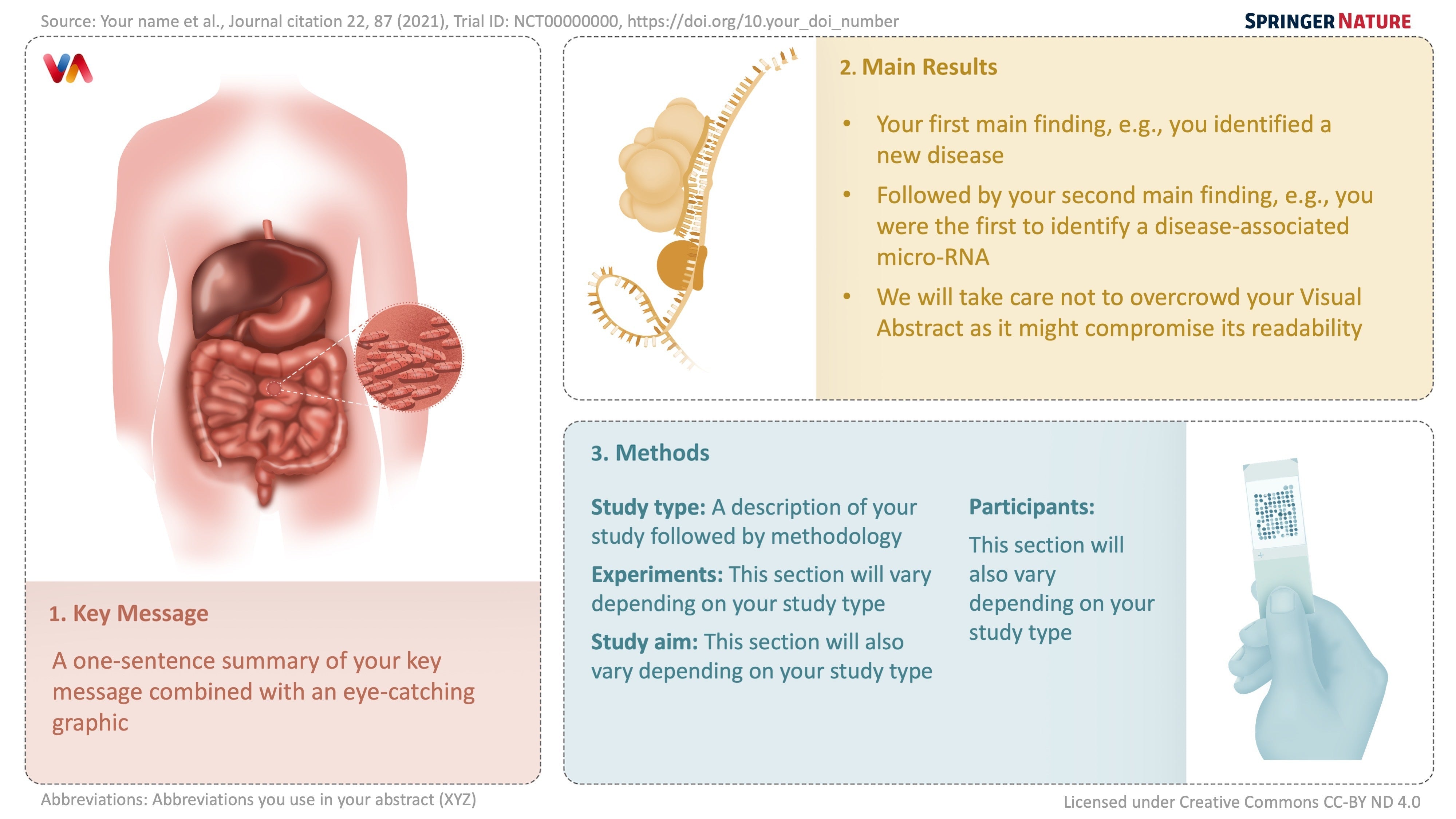 Visual Abstract – Springer Nature Research Solutions